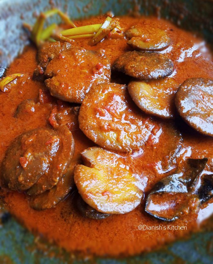 KALIO JARIANG/JENGKOL by Dianish's Kitchen - langsungenak.com