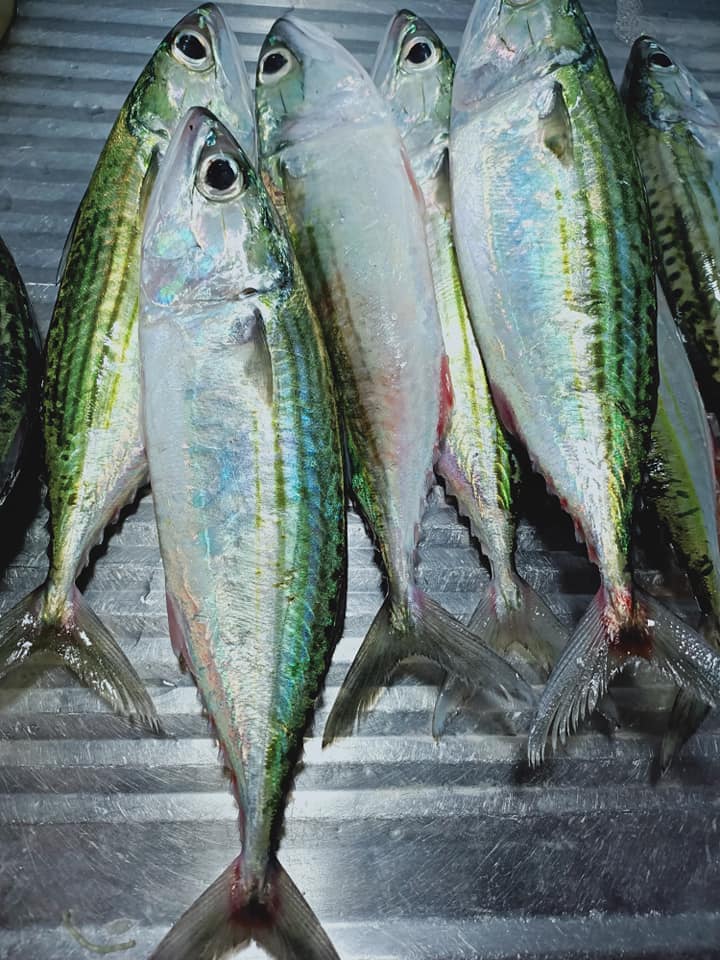 IKAN LEMA BAKAR SAMBAL COLO-COLO by Novie Kurnia Wardani